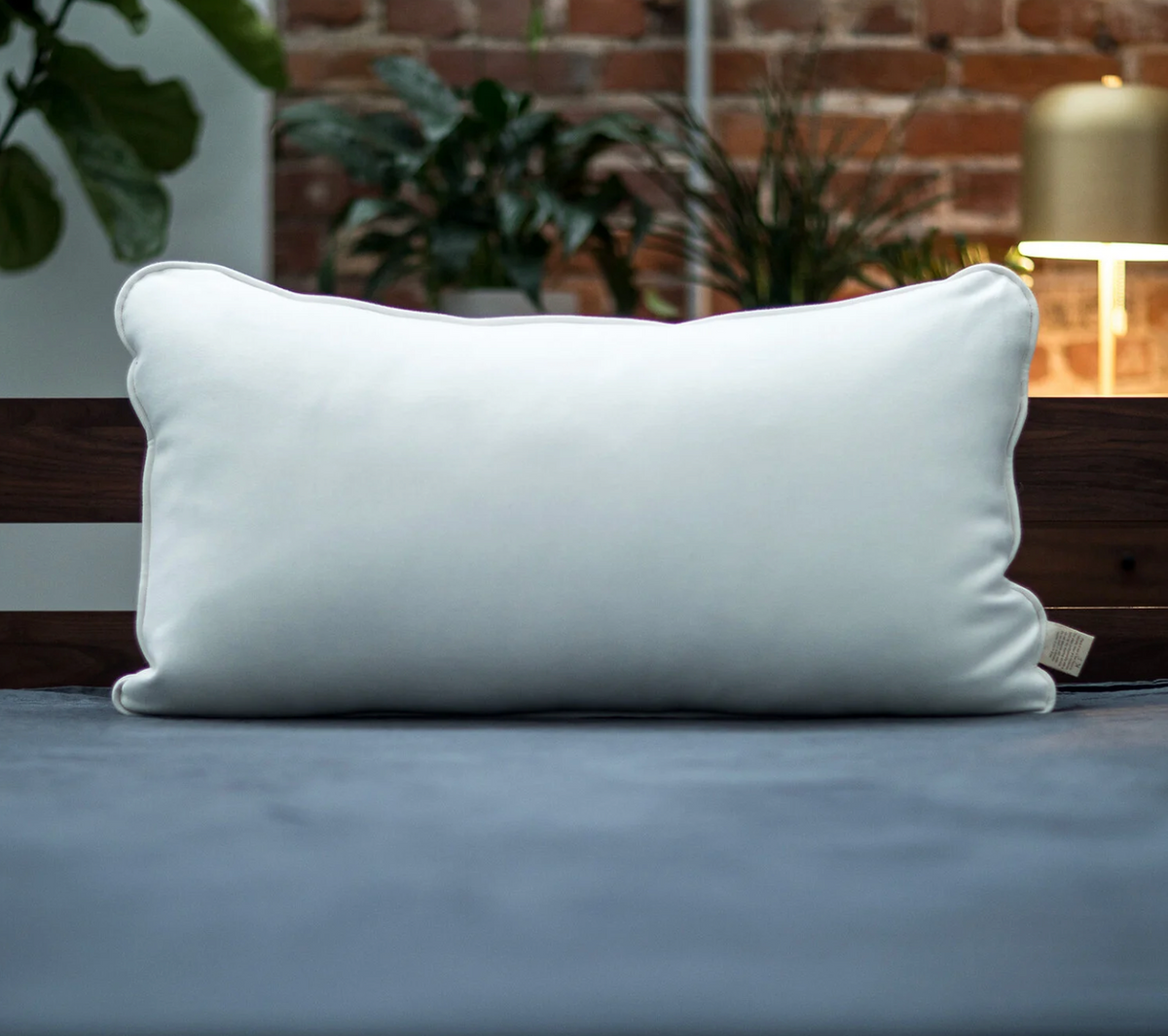 Alpaca Fleece Pillow | Alpaca | Croft Mattress